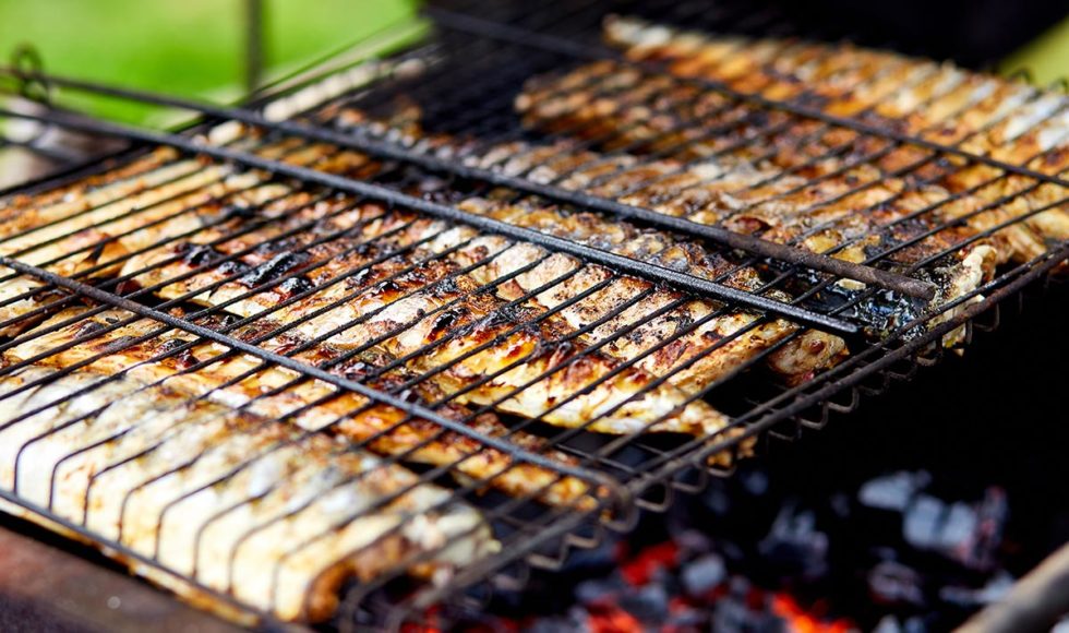 Grilled Fish | Saltwater Seafood
